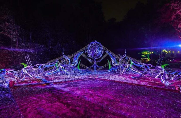 Festival - Psy-Fi Festival